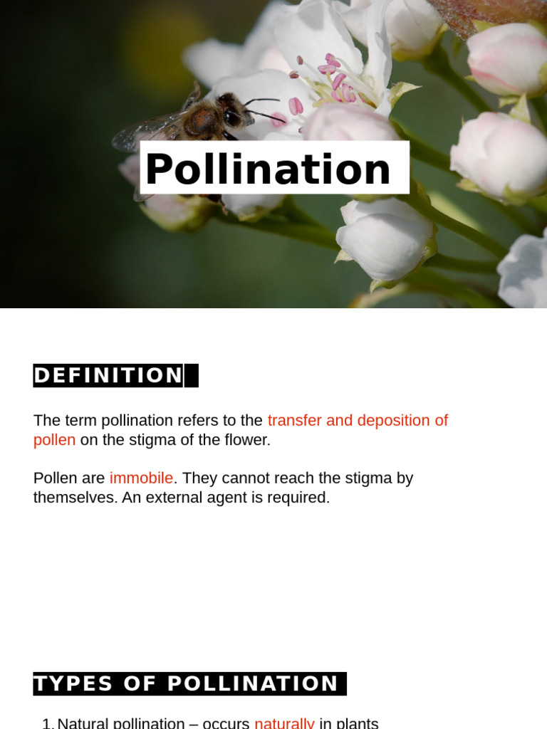 Understanding Pollination Types and Agents | PDF