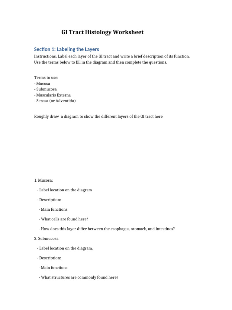 GI Tract Histology Worksheet | PDF