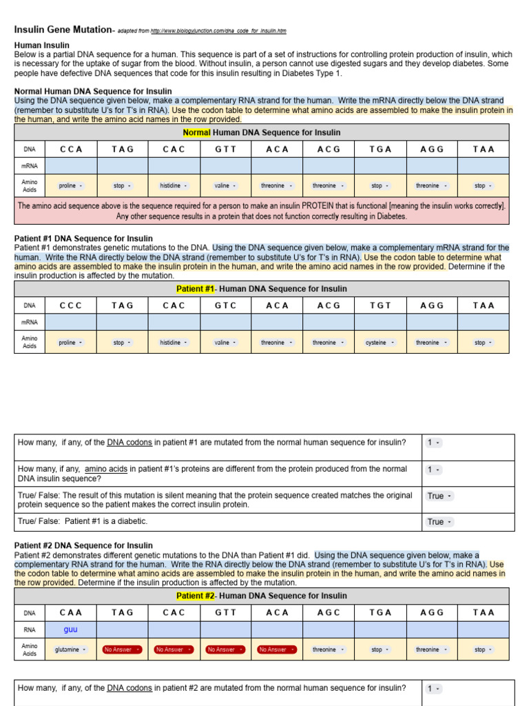 Insulin Gene Mutation Application V.S | PDF | Nucleic Acid Sequence | Genetic Code