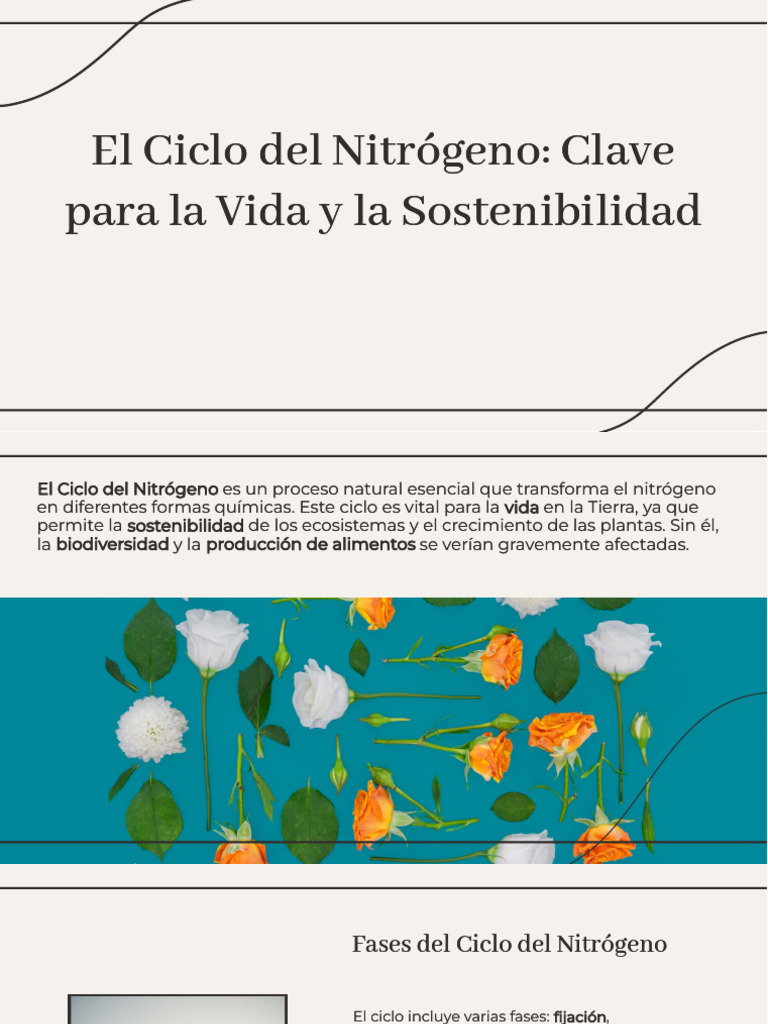 Slidesgo El Ciclo Del Nitrogeno Clave Para La Vida y La Sostenibilidad 202410192055052lzN | PDF