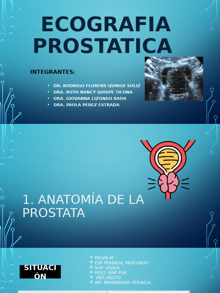 Ecografia Prostatica | PDF | Próstata | Ultrasonido médico