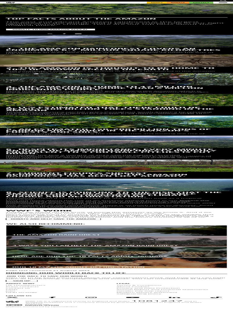 Here Are Our Top Facts About The Amazon WWF 7 | PDF | Amazon Rainforest ...