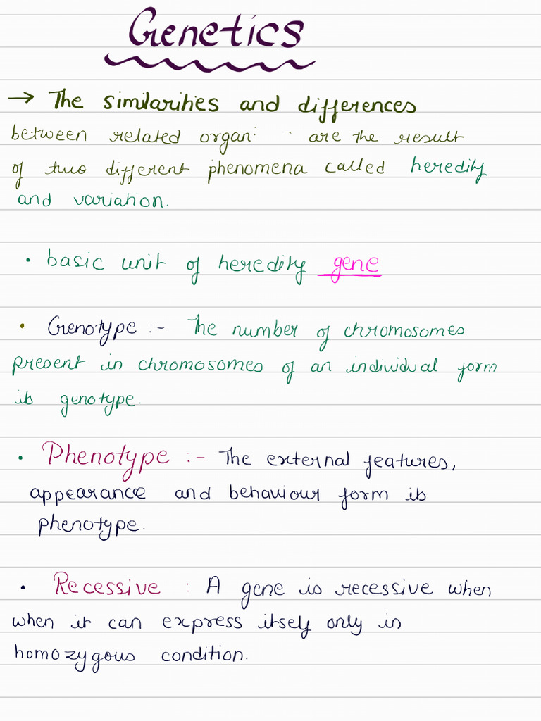 Biology genetics notes | PDF