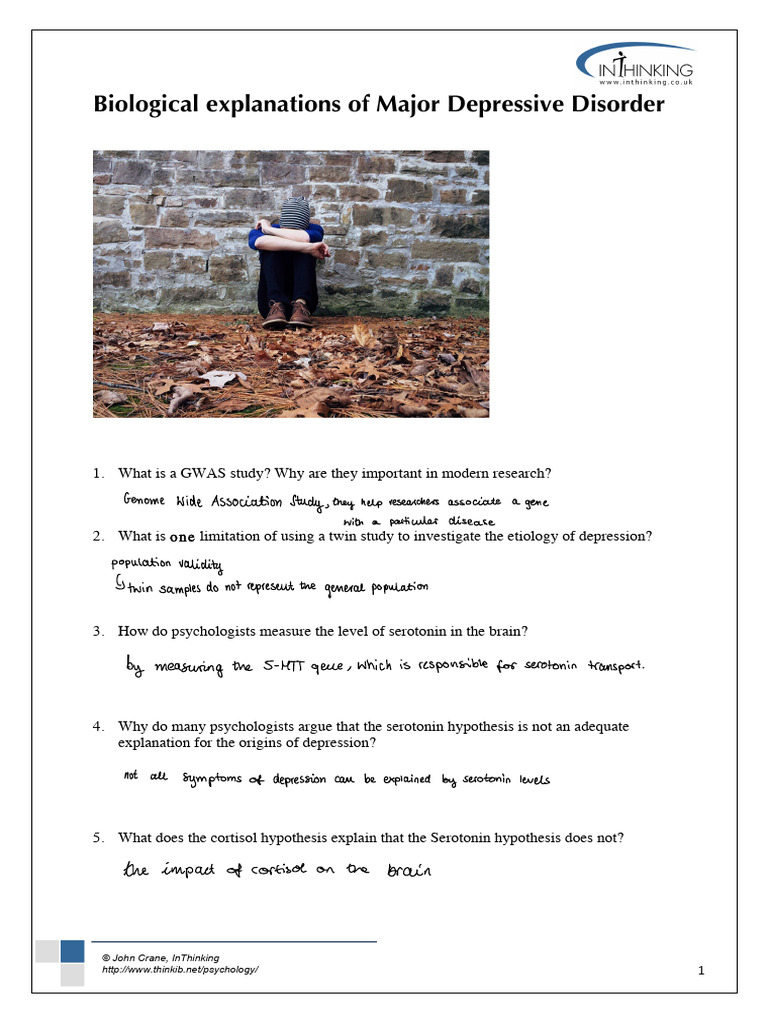Bio Depression Worksheet | PDF | Major Depressive Disorder | Hypothesis