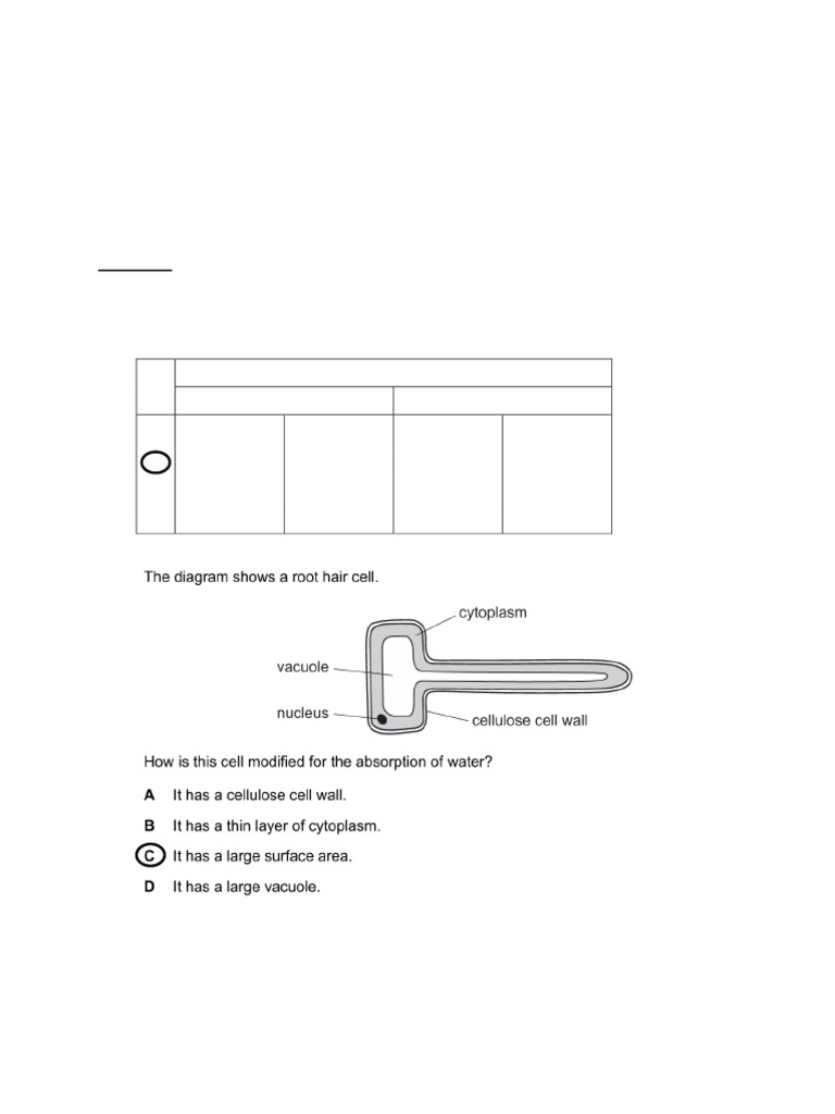 Year 10 Cell Biology Worksheet | PDF | Cell (Biology) | Cytoplasm