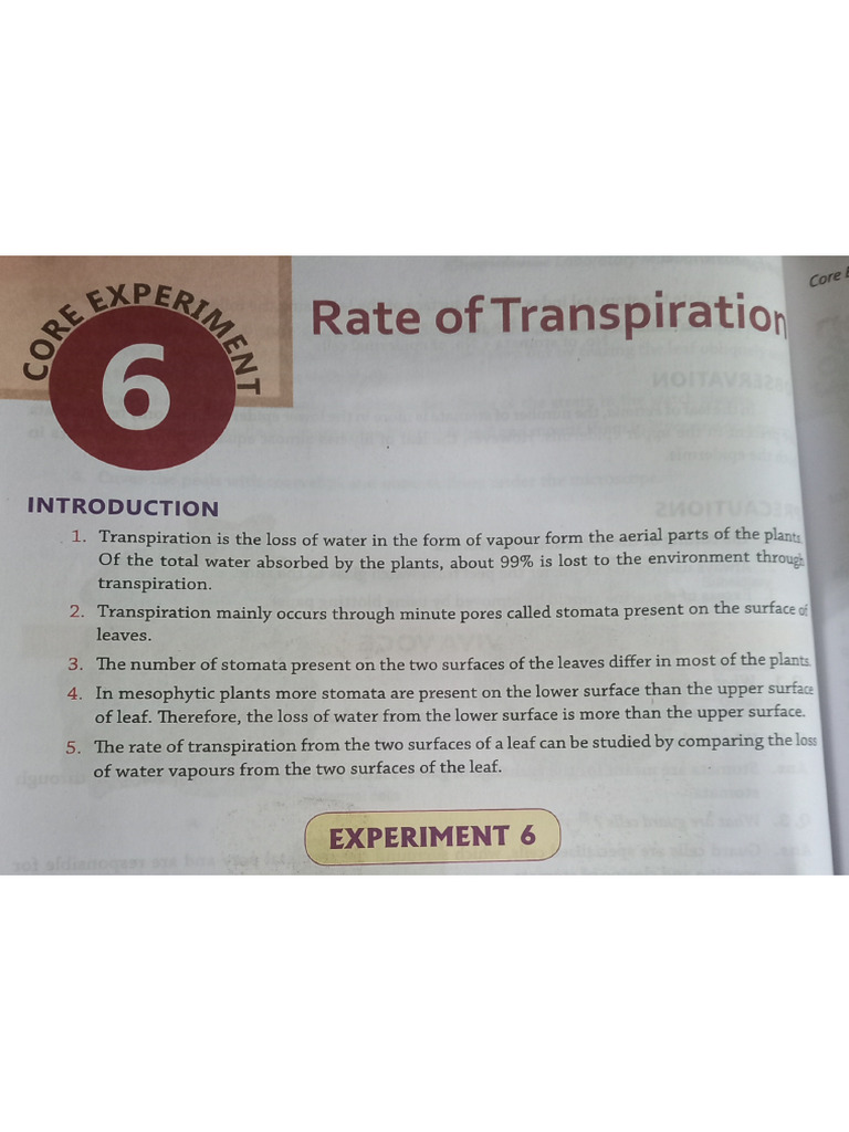 Rate of Transpiration | PDF