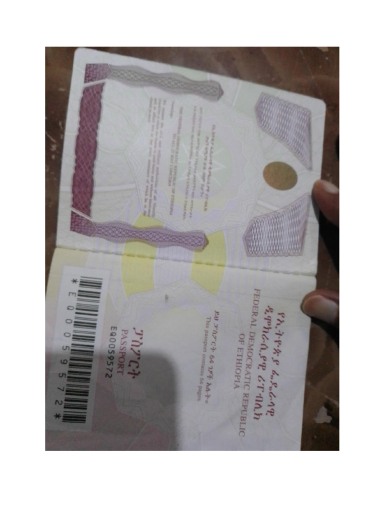 Passport 2 | PDF