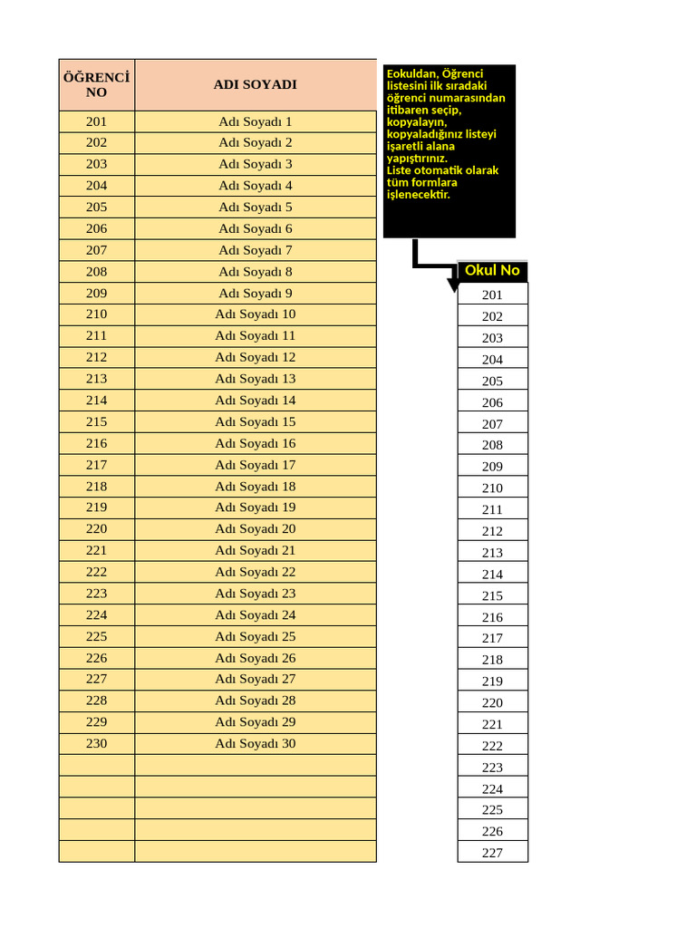 2nd Grades Assessment Scale Hafizoglu - Net 25 v1.Xlsm | PDF
