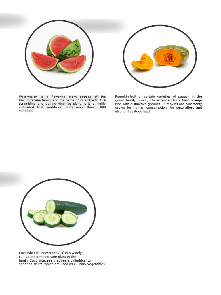 10 TLE Scrapbook | PDF