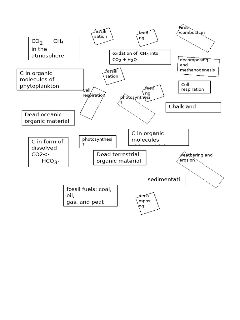 Carbon Cycle: CO2 and CH4 Dynamics | PDF