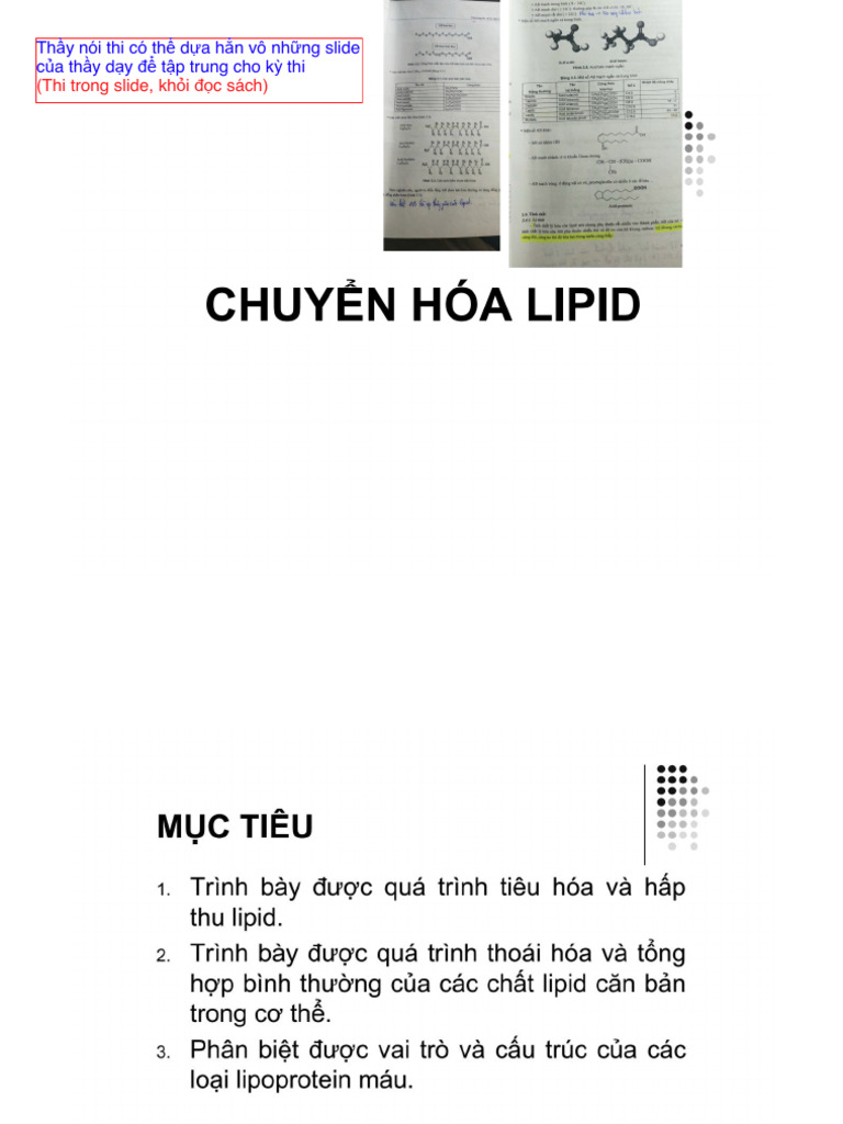 3 CH Lipid Protid Sub | PDF