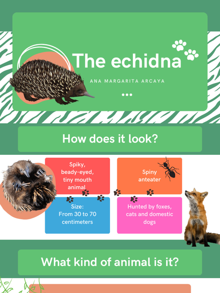 Echidna - Ana Margarita Arcaya | PDF