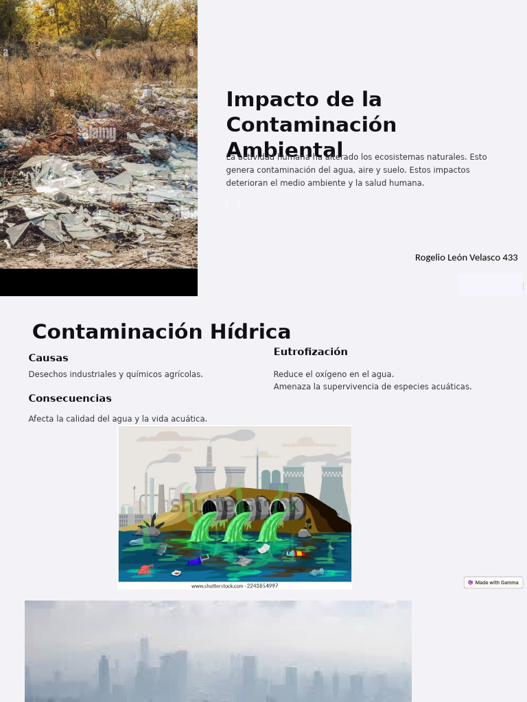Impacto de La Contaminacion Ambiental | PDF