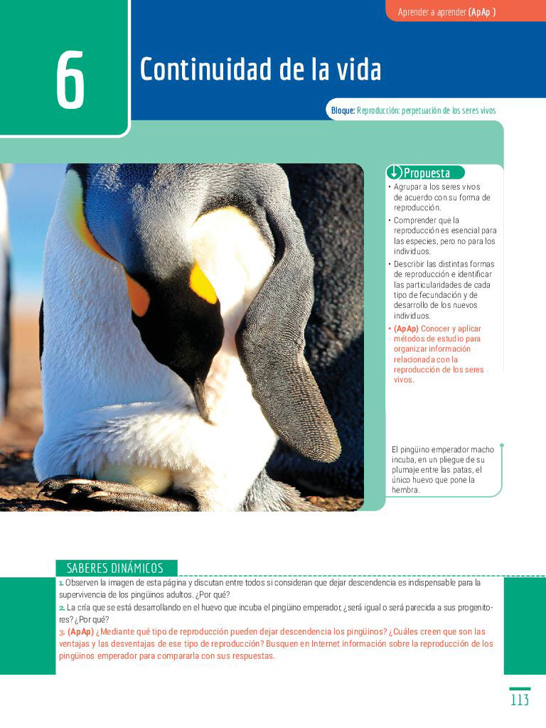 Bio 2 - Pto de Palos - 2021 - 6 Continuidad de La Vida | PDF
