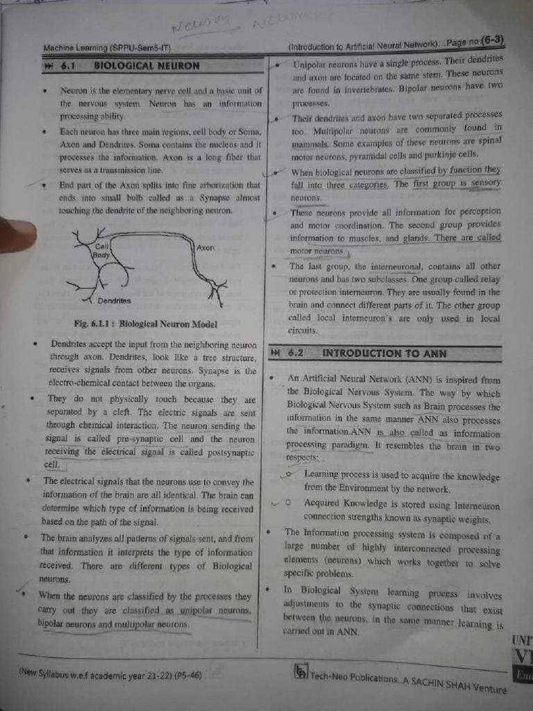Introduction to Biological Neurons and ANN | PDF | Neuroanatomy | Computational Neuroscience