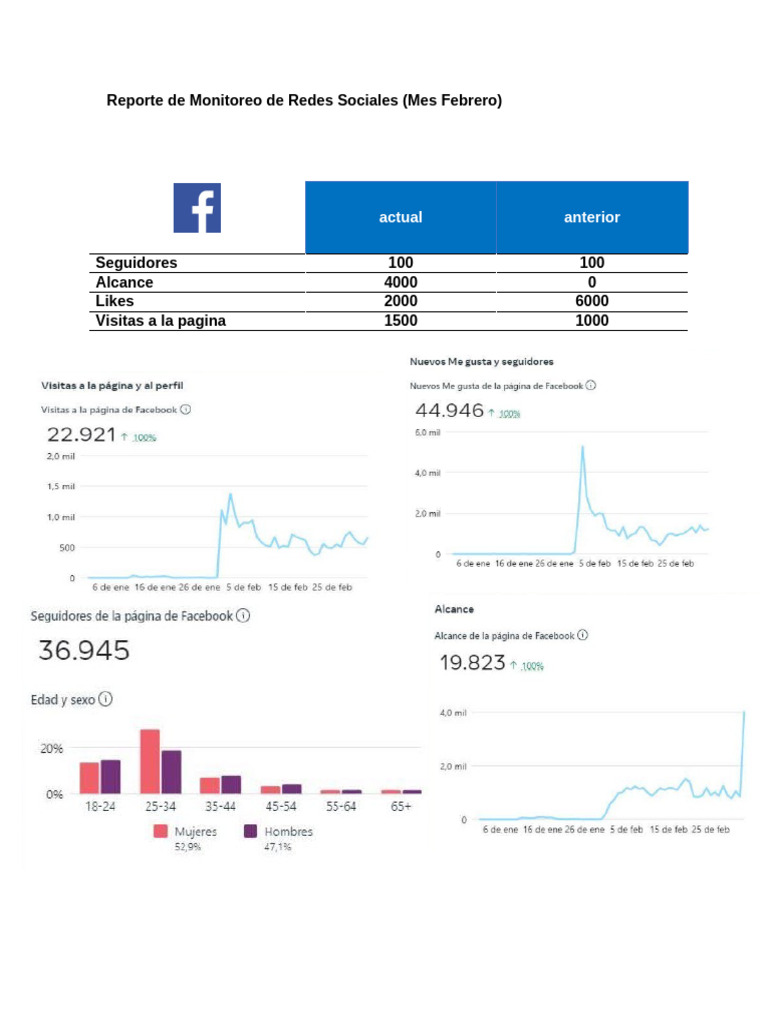 Reporte de Monitoreo de Redes Sociales | PDF