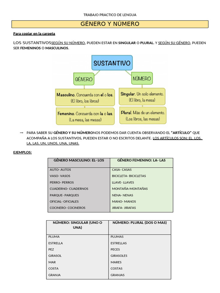 Género y Número en Sustantivos | PDF | Sustantivo | Numero Gramatical