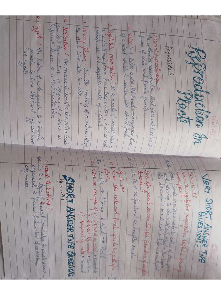 Reproduction in Plants | PDF