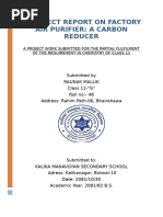 Carbon Purification Model Overview | PDF
