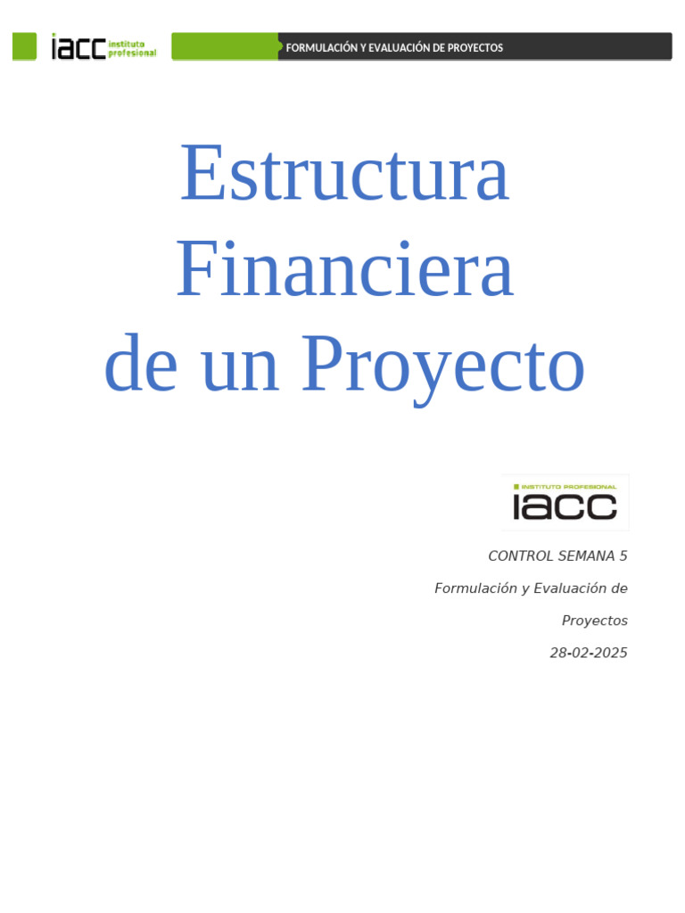 Estructura Financiera de Un Proyecto | PDF | Business | Capital (economía)