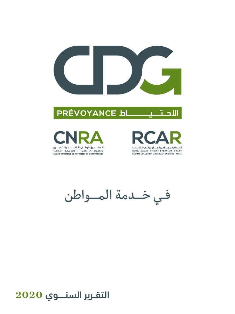 Rapport CDGP AR 2020 | PDF