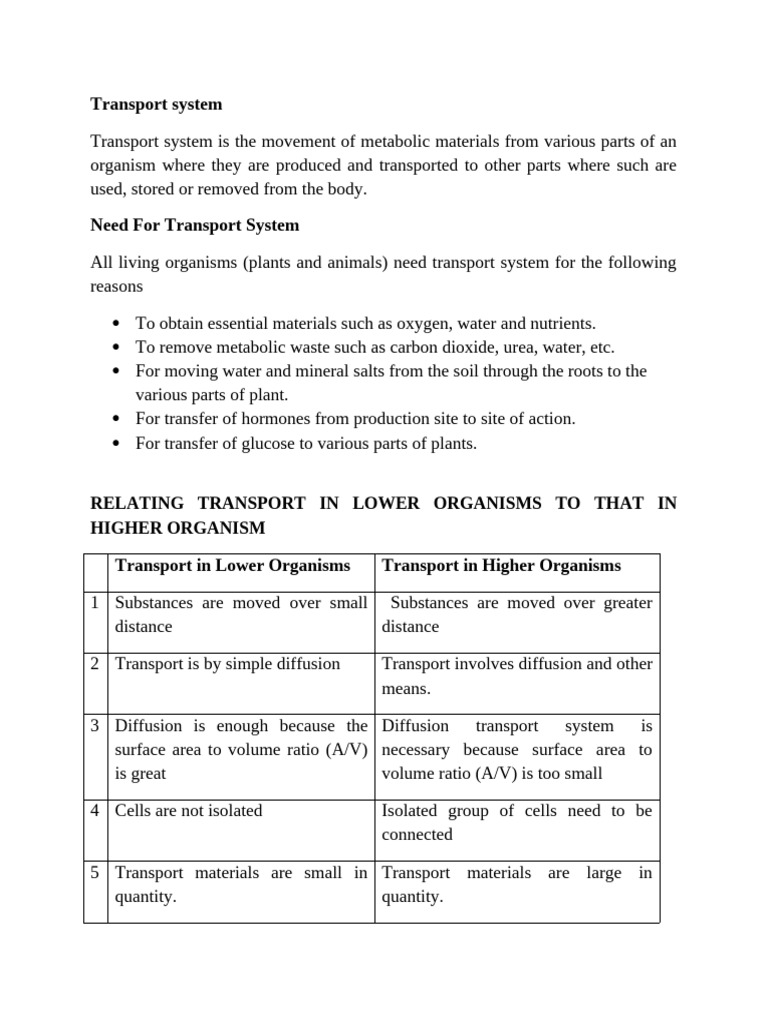 Biology: Transport System | PDF | Blood | Human Body