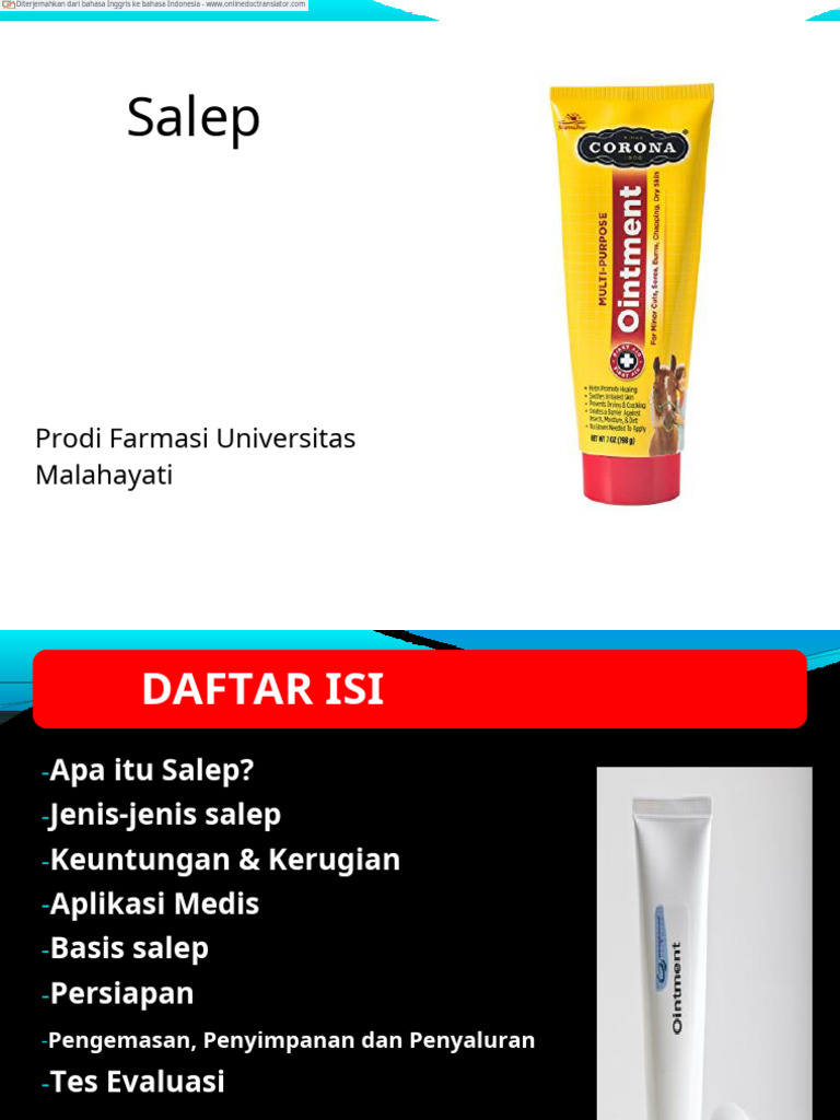 PERTEMUAN 10 SALEP - En.id | PDF