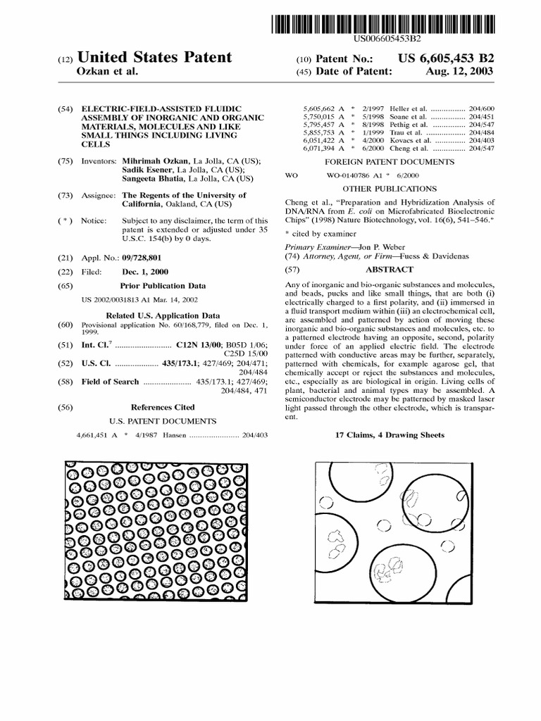 US6605453B2 - Electrical Field Assisted Fluidic Assembly of Inoeganic ...