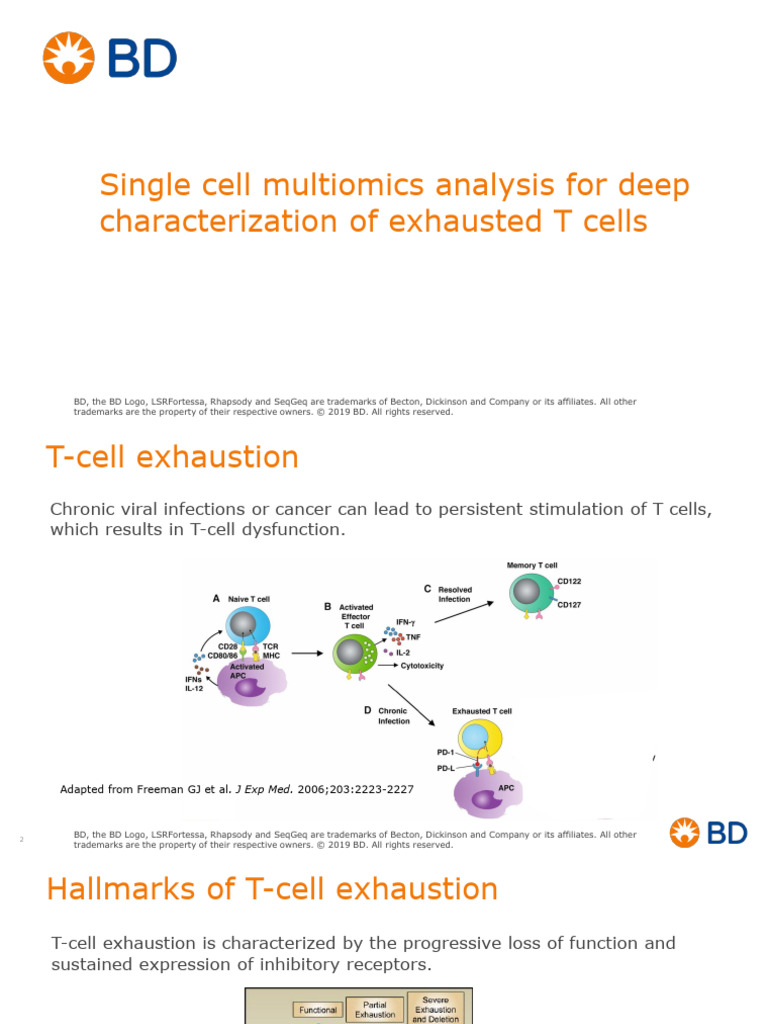 Single Cell Multiomics Analysis Deep Characterization Exhausted T Cells ...