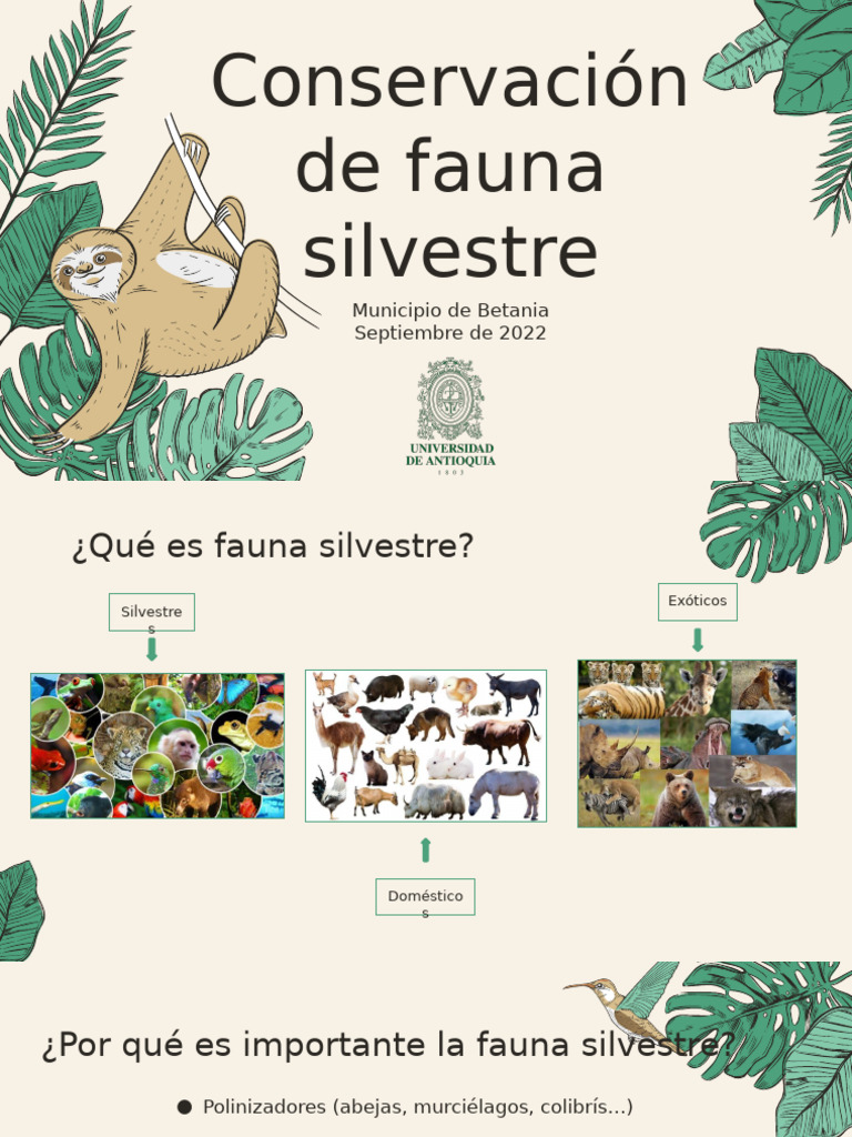 Conservación de Fauna Silvestre - Betania | PDF | Fauna | Biodiversidad