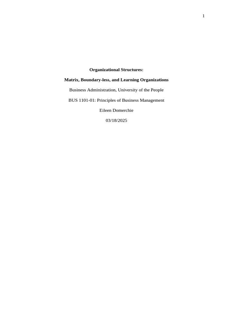 Organizational Structures Matrix, Boundary-less, and Learning ...