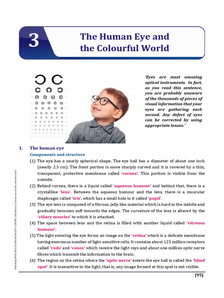 The Human Eye NCERT Theory | PDF | Eye | Myopia