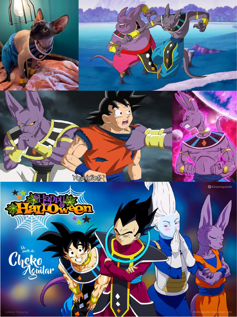 Beerus 2 Pdf