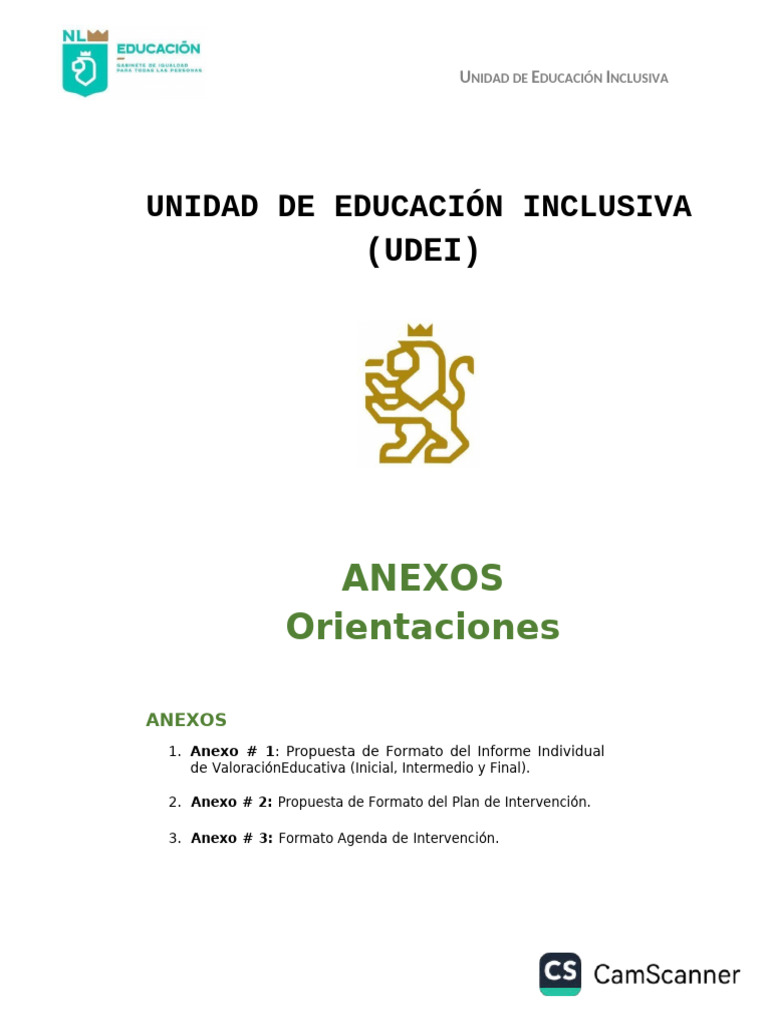 ORIENTACIONES ANEXOS UDEI 1, 2 y 3 | PDF | Enseñando | Escuelas