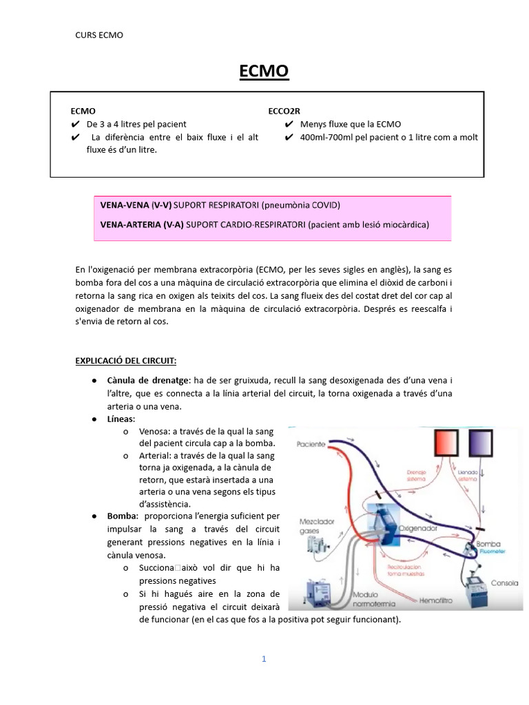 Ecmo Clara | PDF