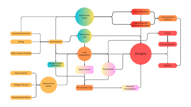 Vicious Cycle - Nature | PDF