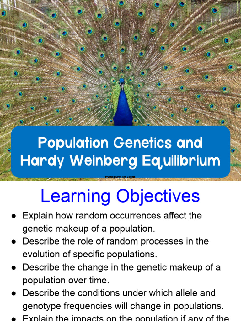 SE Unit 7 Topic 2 Notes - Population Genetics - Hardy Weinberg ...