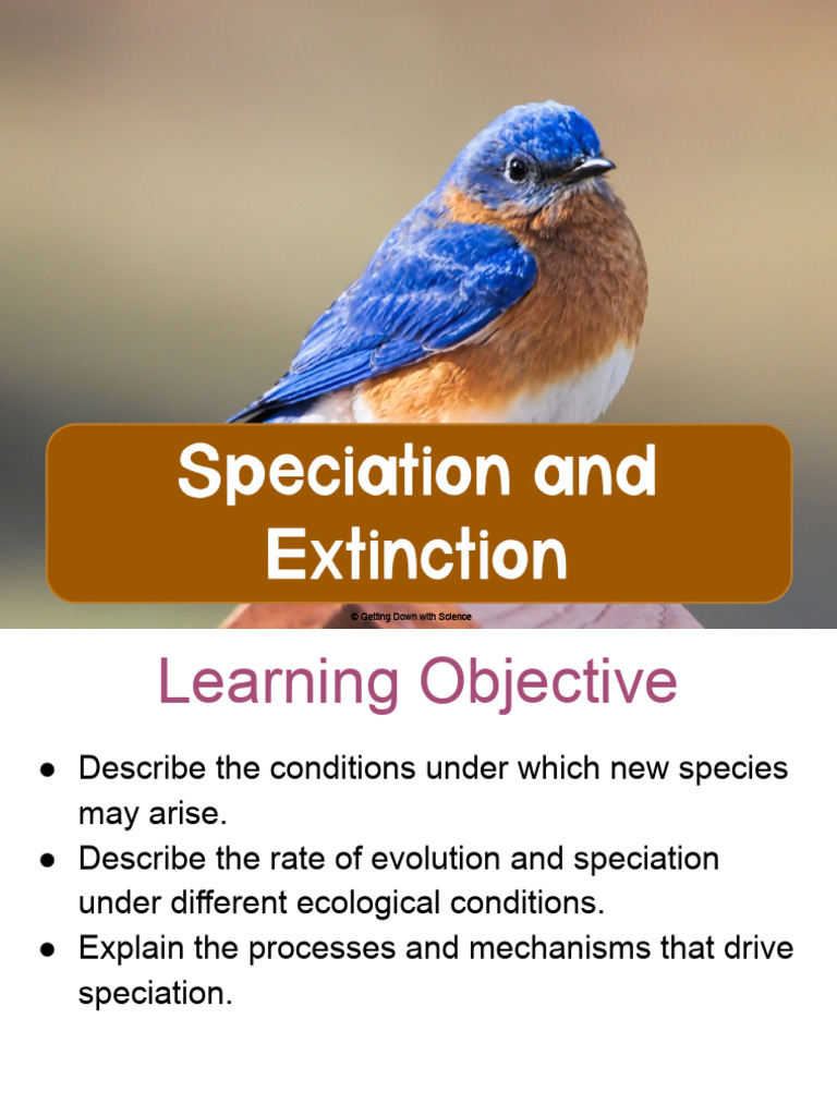 SE Unit 7 Topic 5 Notes - Speciation - Extinction | PDF | Evolution ...