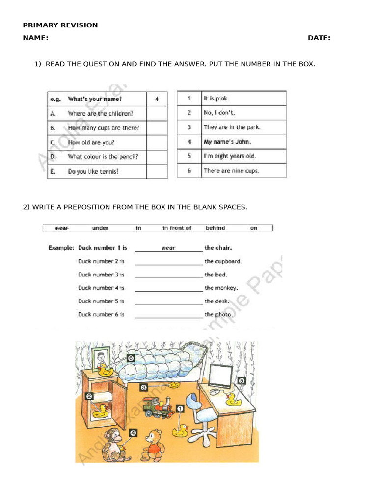 Primary Revision | PDF
