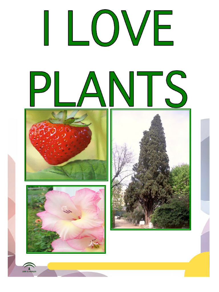 Cuadernillo 3ero Pdf