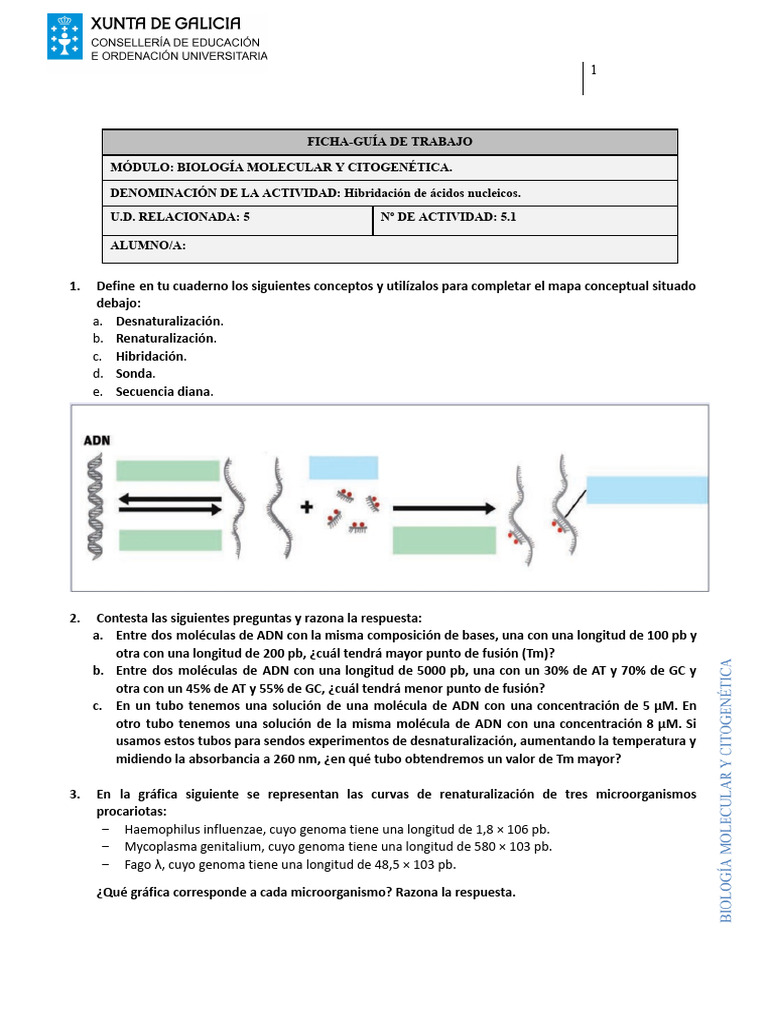 Hibridación de Ácidos Nucleicos en Biología | PDF | Hibridación de ácido nucleico | Adn