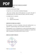 BNM's Enterprise Risk Management Framework | PDF | Internal Audit ...