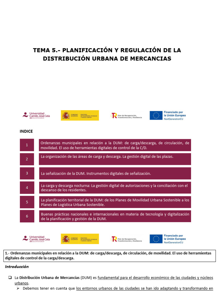 Tema 5 - Planificacion y Regulacion de La DUM | PDF | Logística | Transporte