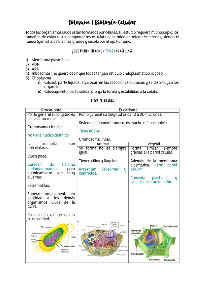 Resumen Biocel Studocu | PDF