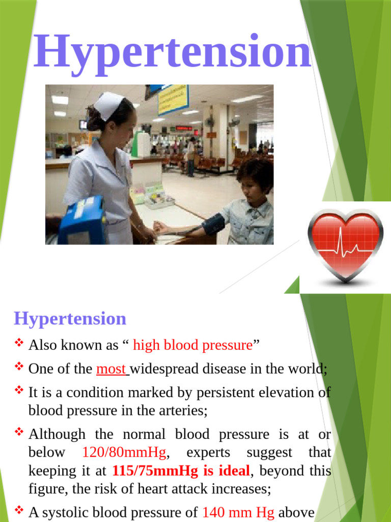 Understanding Hypertension Basics | PDF | Hypertension | Blood Pressure