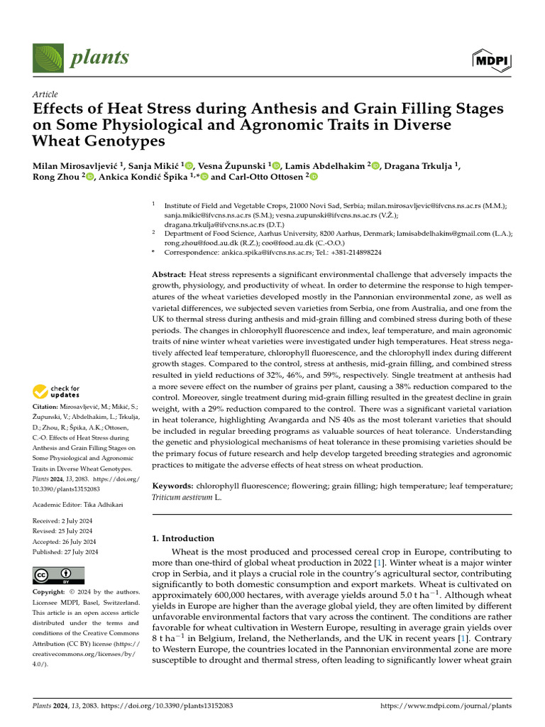 Effects of Heat Stress During Anthesis and Grain F | PDF | Wheat | Biology