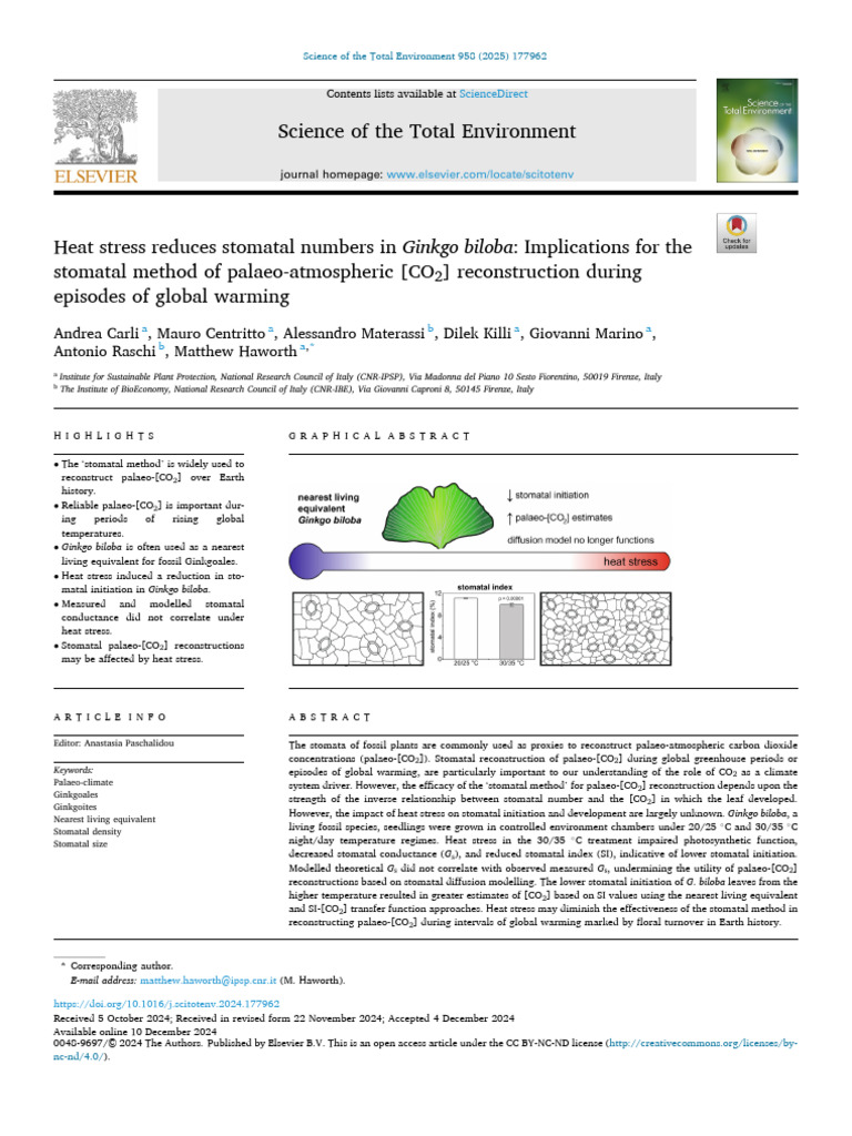 Heat stress reduces stomatal numbers in Ginkgo biloba Implications fort ...