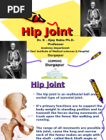Comparison of Shoulder and Hip Joint | PDF | Shoulder | Hip