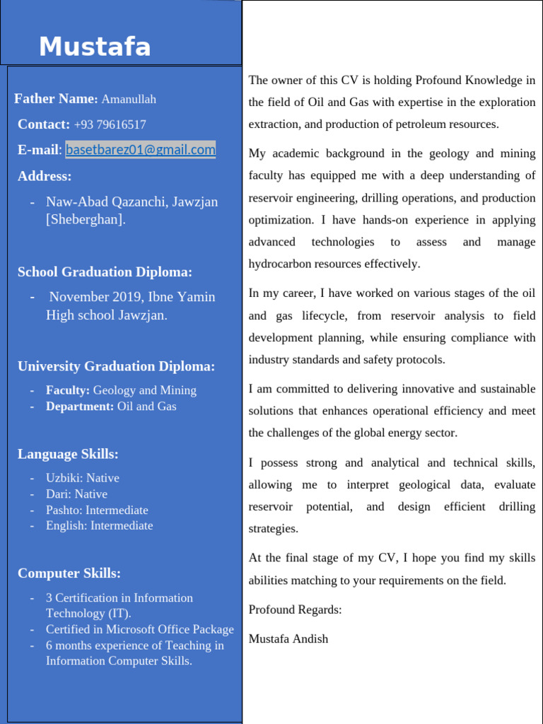 CV Mustafa | PDF