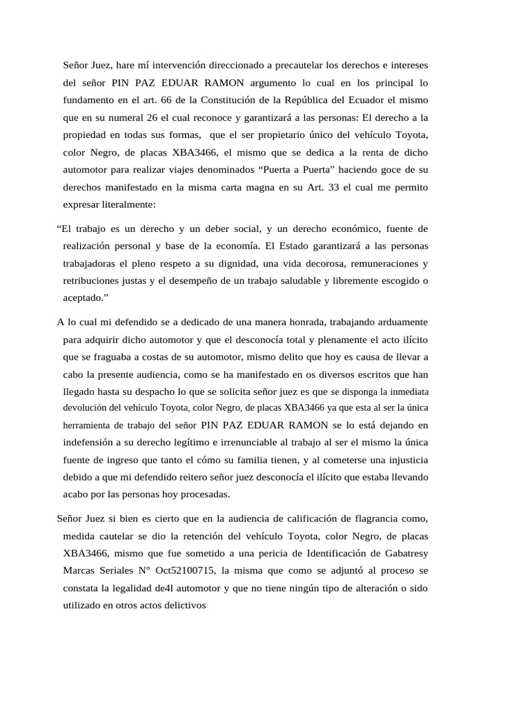 Defenza Pin Paz | PDF | Gobierno | Justicia